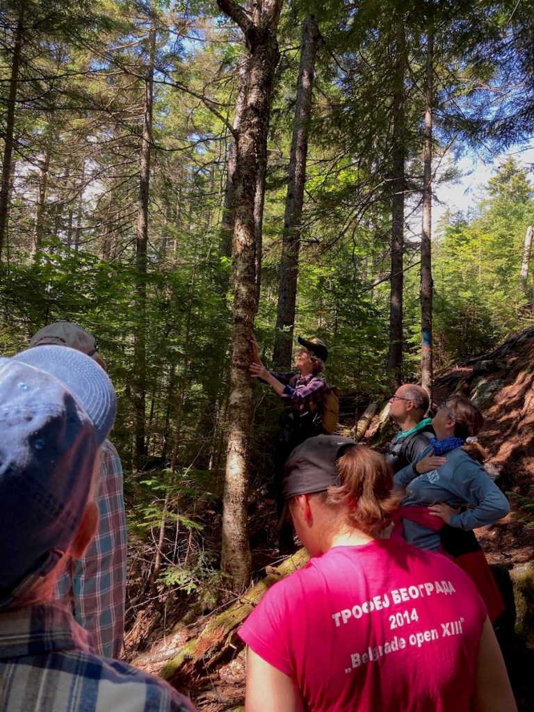 Schedule of Events – 2024 Thoreau-Wabanaki Trail Festival
